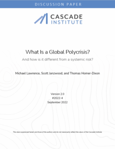 What is a global polycrisis?
