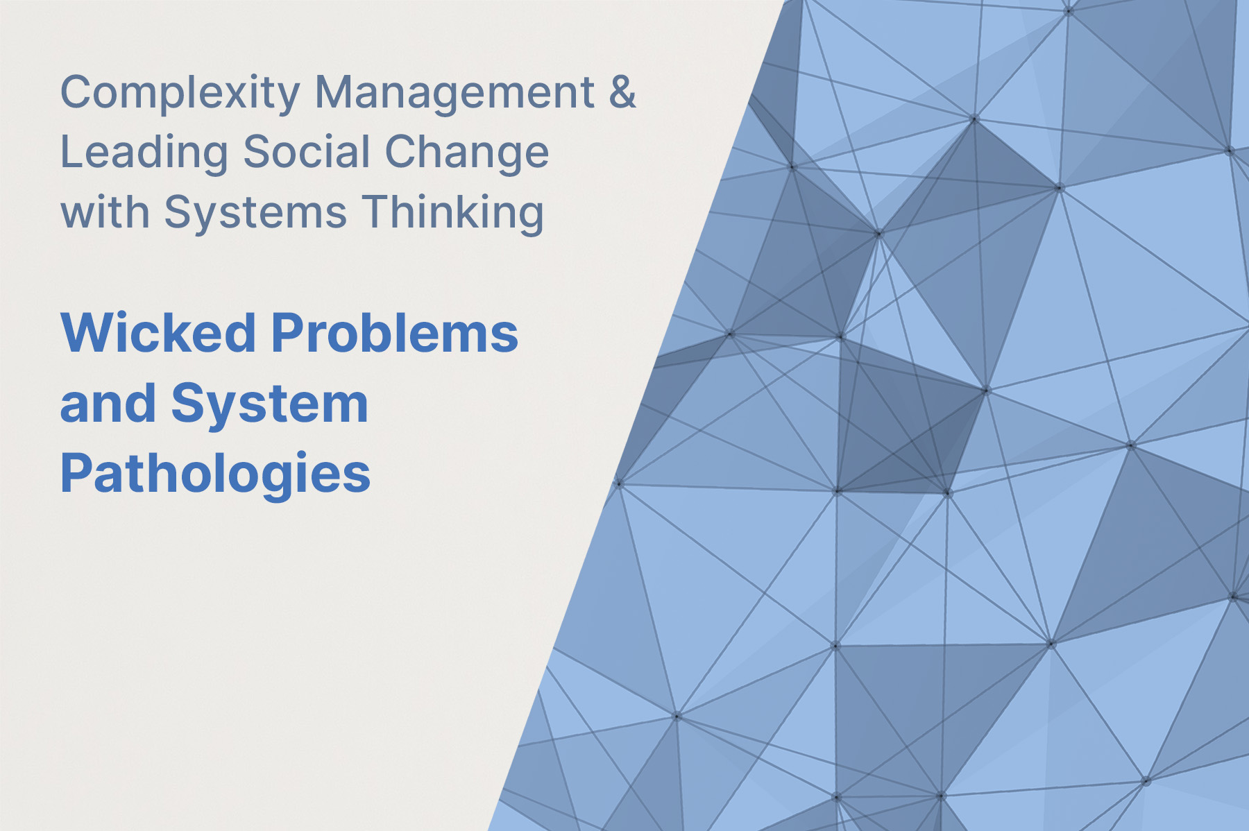 Complexity curricula video 10: Wicked problems and system pathologies ...
